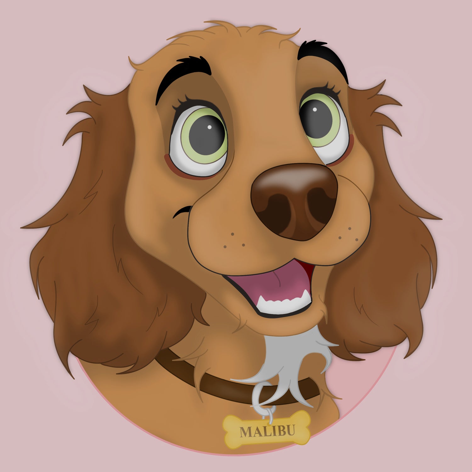 Collections – Jack Draws Your Pet