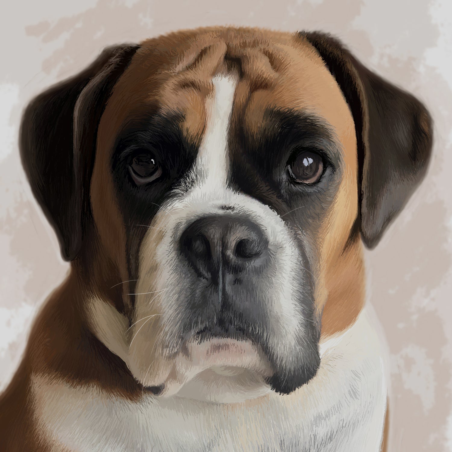 Collections – Jack Draws Your Pet