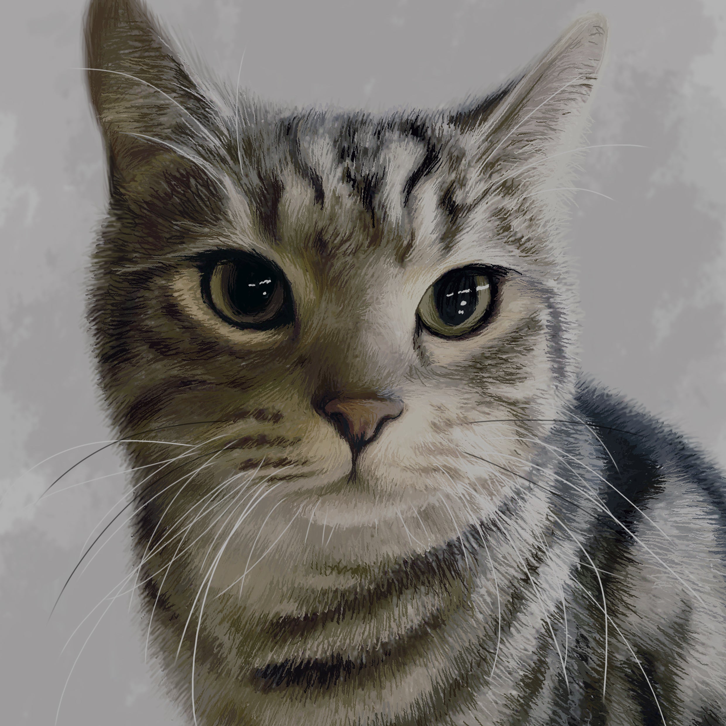 Collections – Jack Draws Your Pet