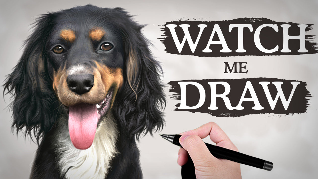 Jack Draws Your Pet